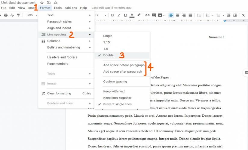 Mla Paragraph Spacing Hot Picture