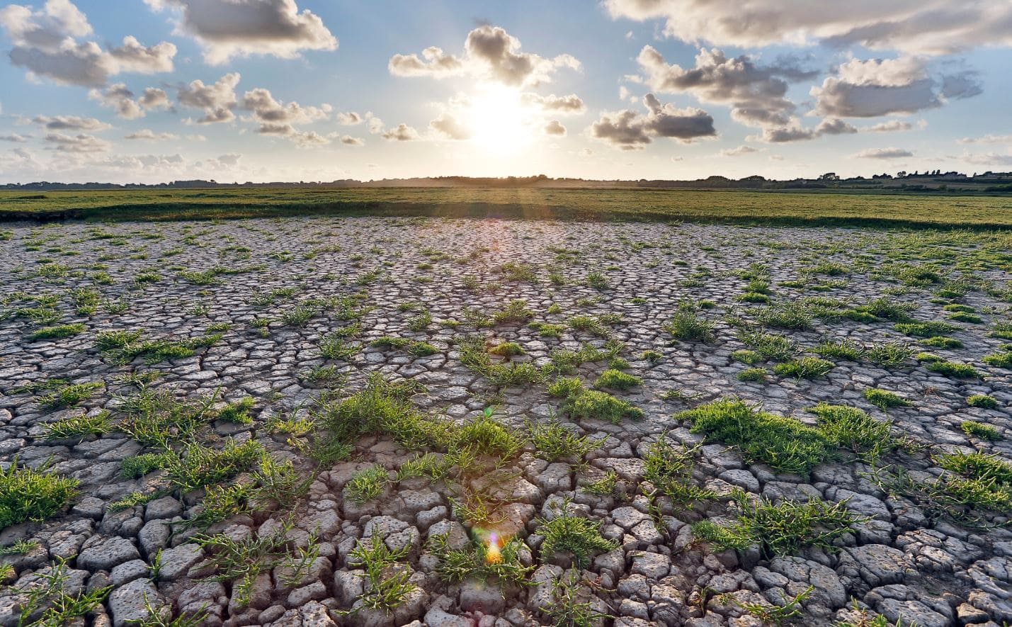 Causes and Effects of Climate Change on Global Food Production – Wr1ter